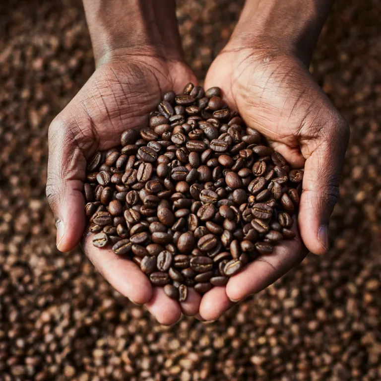 Eldo Usafric Limited – Premium Kenyan Coffee, Herbs & Spices